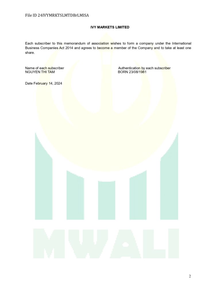 About us - IVY Markets