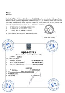 About us - IVY Markets