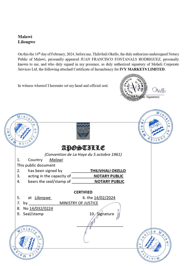 About us - IVY Markets