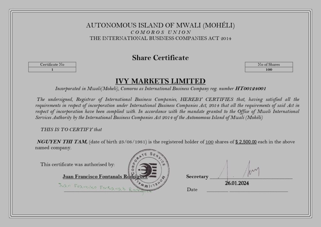 About us - IVY Markets